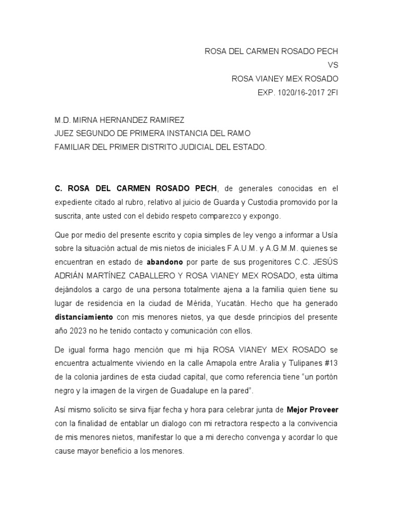 Junta de Mejor Proveer Actualizada | PDF