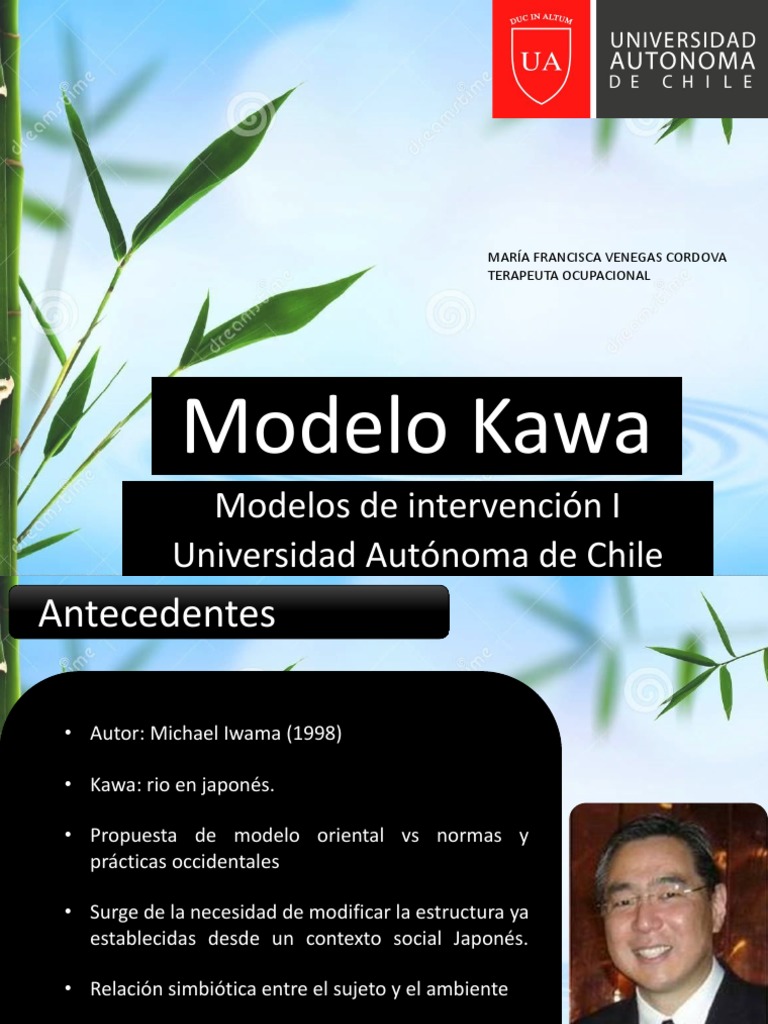 Modelo Kawa | PDF | Terapia ocupacional | Río