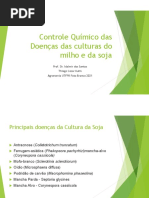 6d21e Bula Fox Xpro Fungicida | PDF | Embalagem e rotulagem | Armazém