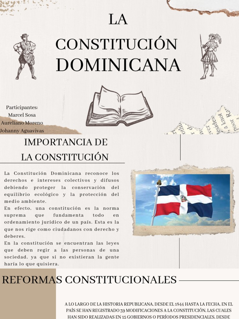 Importancia De La Constitución Pdf República Dominicana Constitución