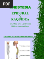Anestesia Raquídea: Técnica y Complicaciones | PDF | Anestesia | Fluido ...