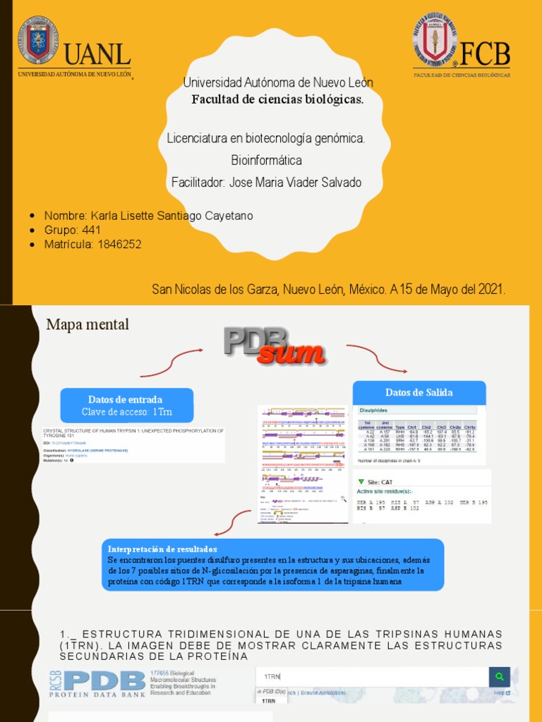 Ea8 Bionfo Y Simu Pdf Biología Celular Bioestadística