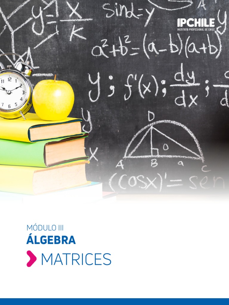 Matrices: Álgebra | PDF | Matriz (Matemáticas) | Determinante