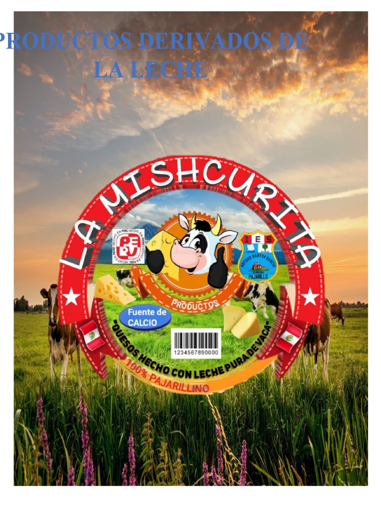 Proyecto para La Produccion y Comercializacion de Productos Derivados de La Leche | Descargar ...