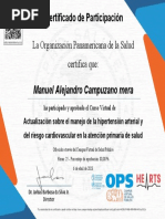 Certificado de Lavado de Manos Ops | PDF | Salud pública | Politica de salud