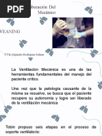 Ensayo Sulfato de Magnesio-Esquema Zuspan | PDF | Astrocito | Inflamación