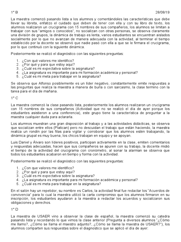 Diario de Observacion | PDF | Evaluación | Cognición