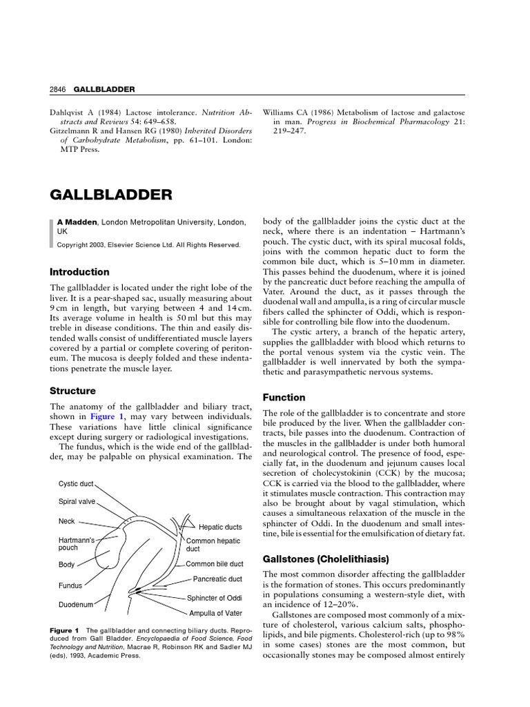 SPPD | PDF | Gallbladder | Organ (Anatomy)