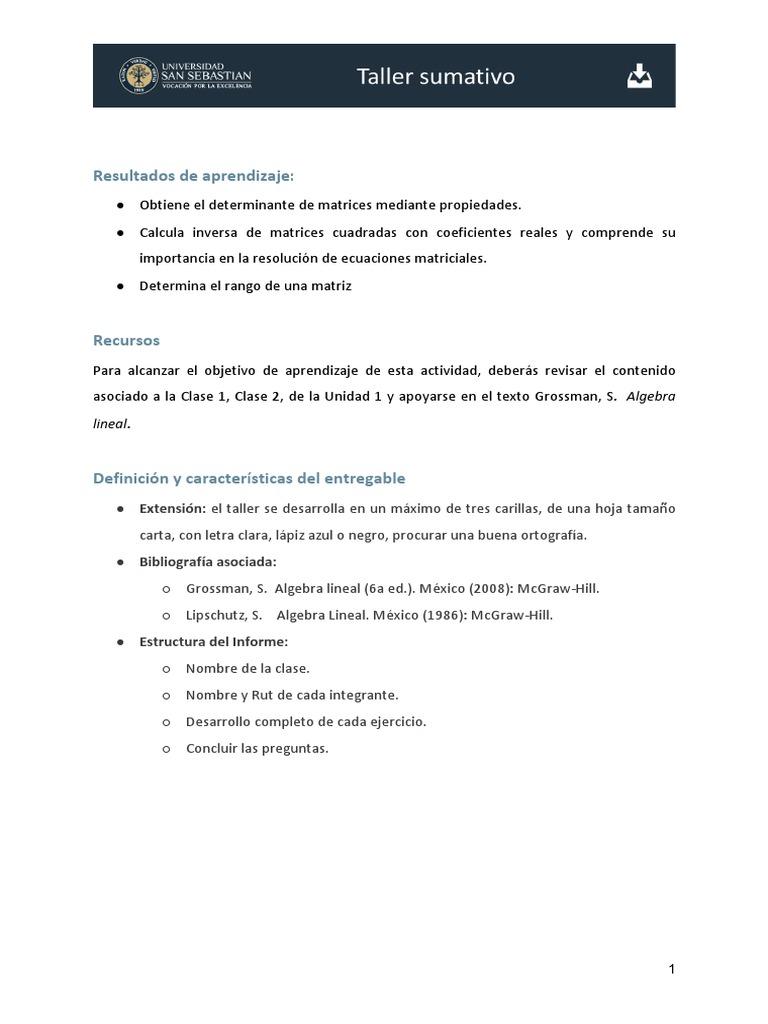 U1 - S2 Evaluación Sumativa - Taller 1 Forma A (202305) Algebra | PDF | Matriz (Matemáticas ...