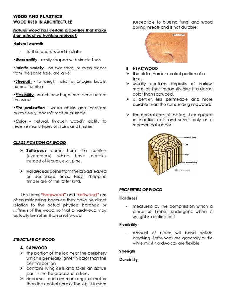 Wood Used in Architecture | PDF | Lumber | Wood