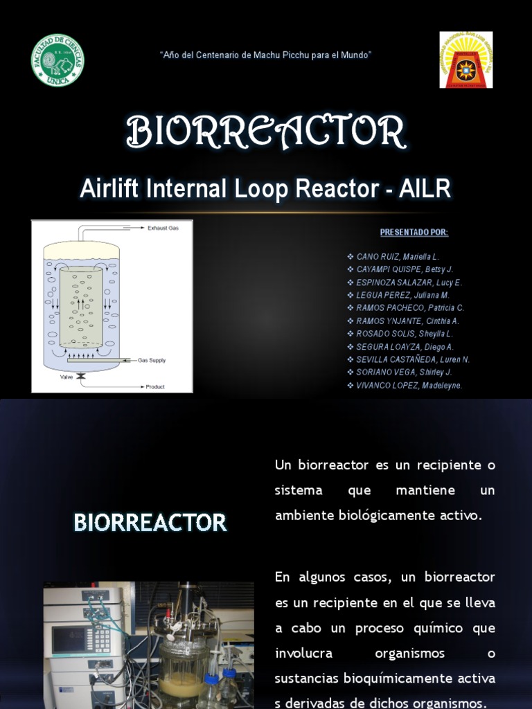 Airlift Internal Loop Bio Reactor | PDF | Motor a reacción | Ingeniería ...