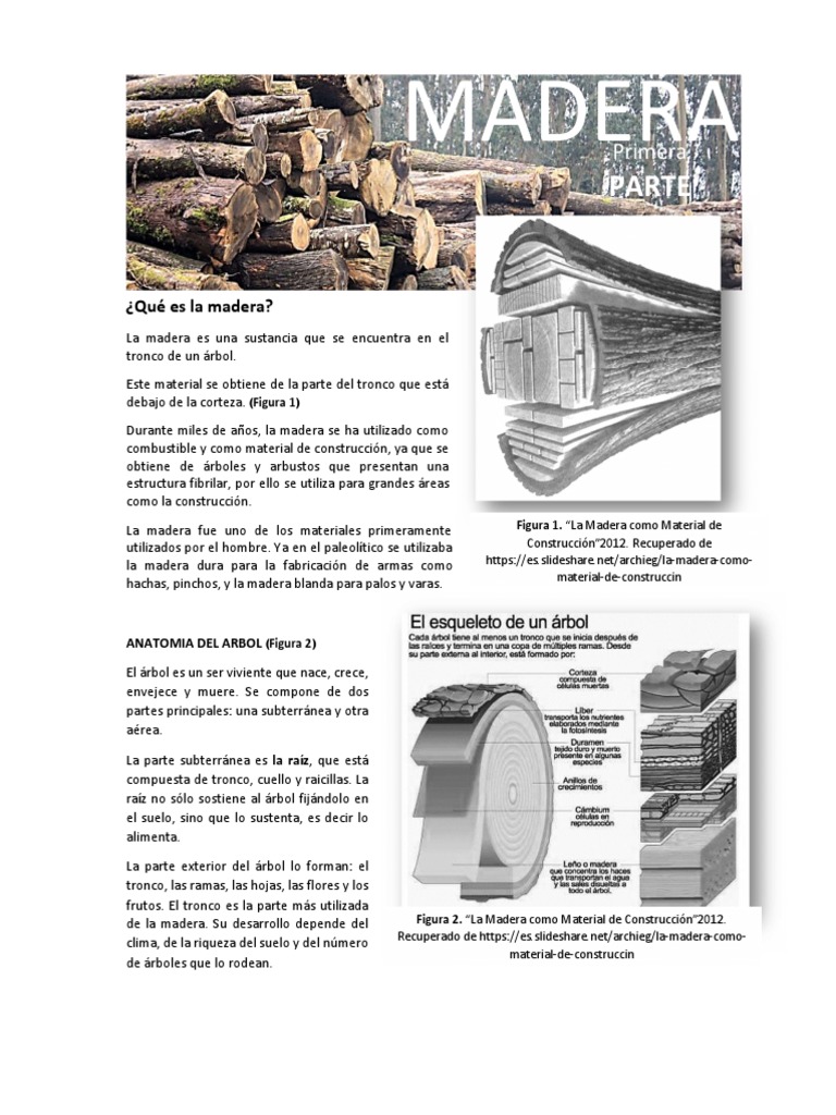 MADERAS | PDF | Madera | Agua