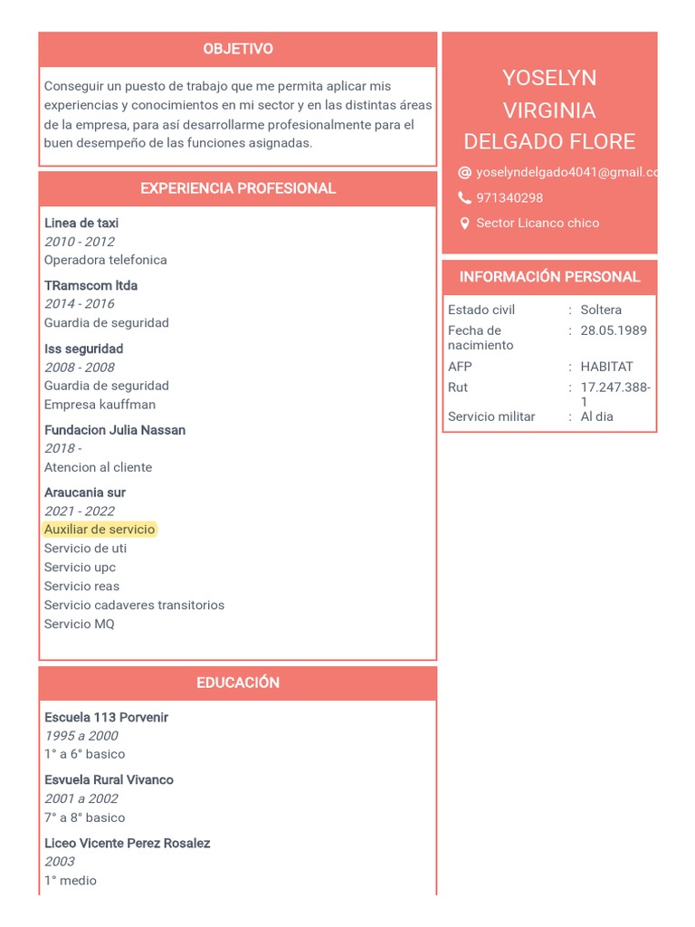 CV Joselyn Delgado | PDF