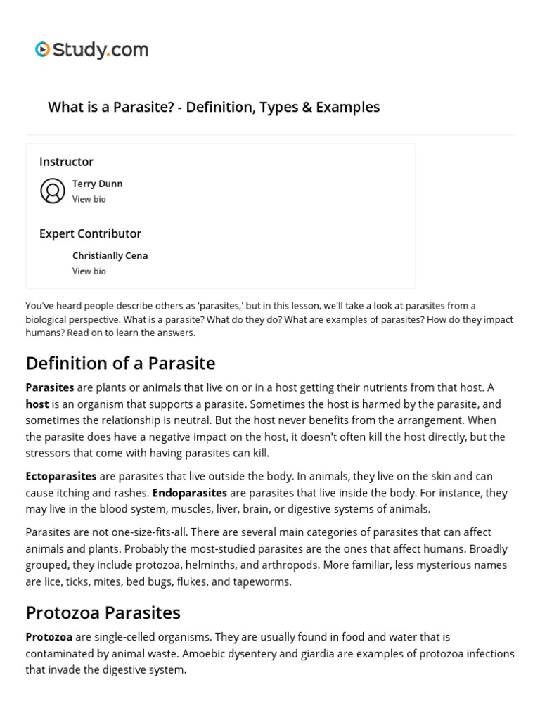 Lesson 03 What Is A Parasite - Definition, Types & Examples | PDF ...
