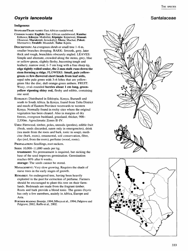 Study On Mugumo | PDF | Trees | Seed