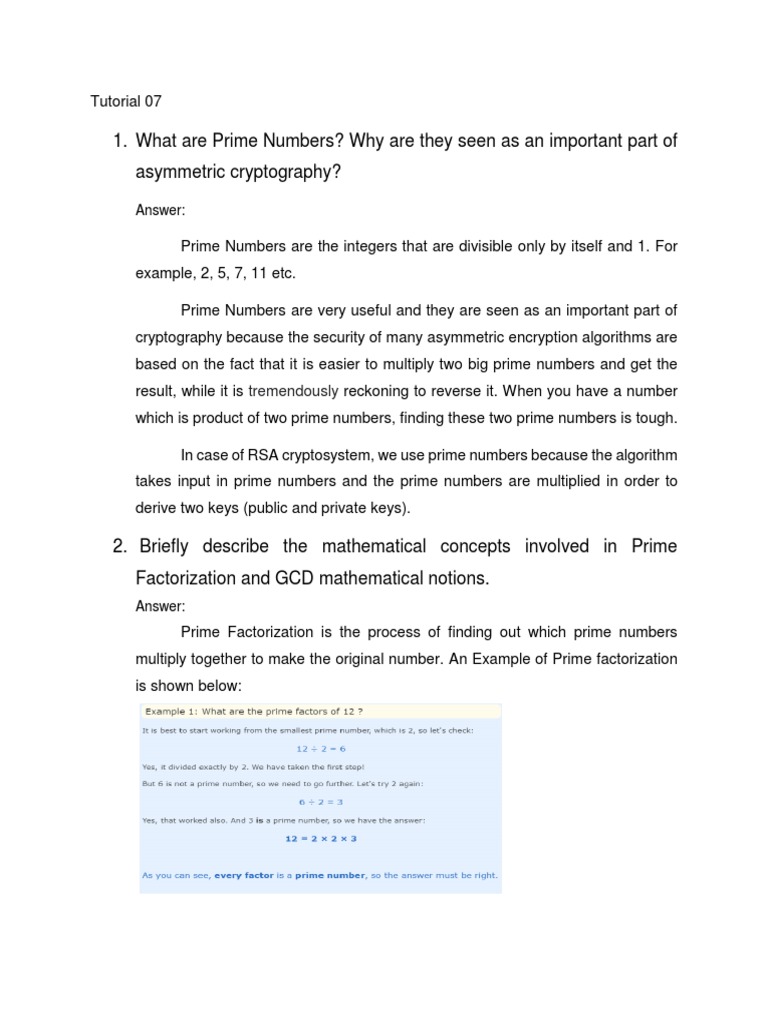 What Are Prime Numbers? Why Are They Seen As An Important Part of ...