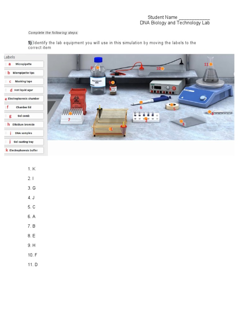 Identify The Lab Equipment You Will Use in This Simulation by Moving The Labels To The Correct ...