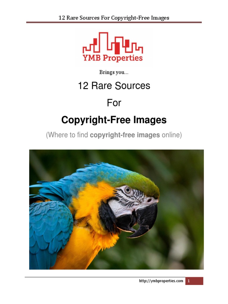 12 Rare Sources For Free Images | Download Free PDF | Photograph ...