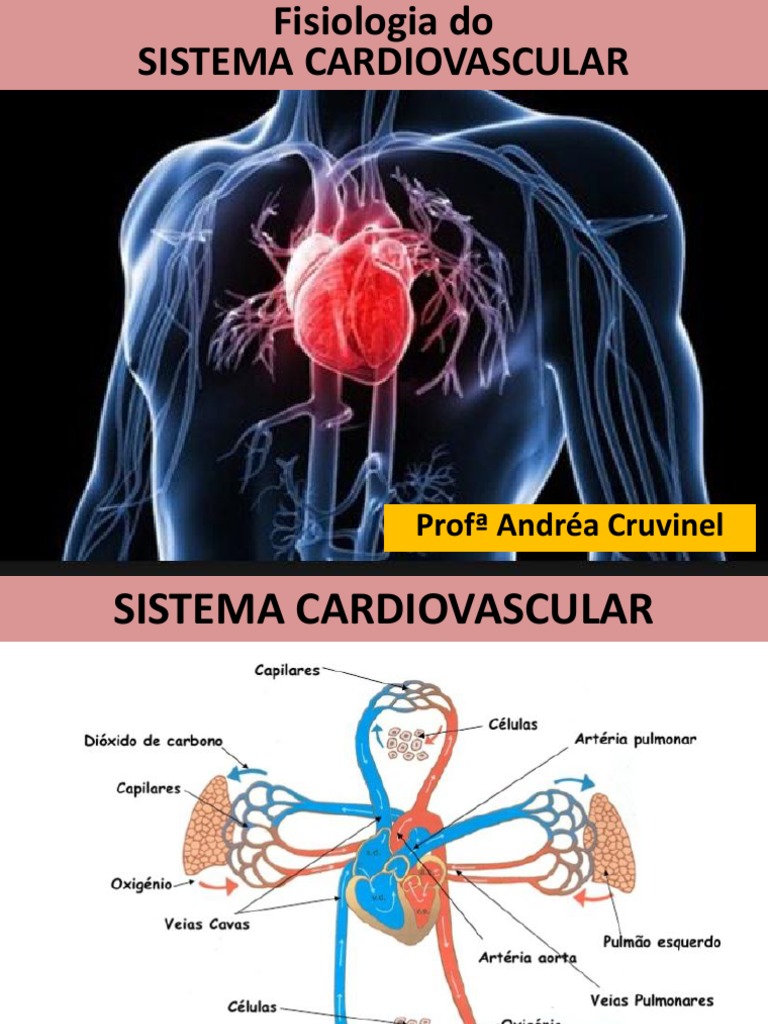 Aula 5 - Sistema Cardiovascular | PDF