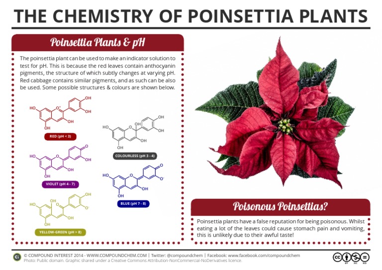 Weihnachtsstern pH-Indikator | PDF | Chemistry