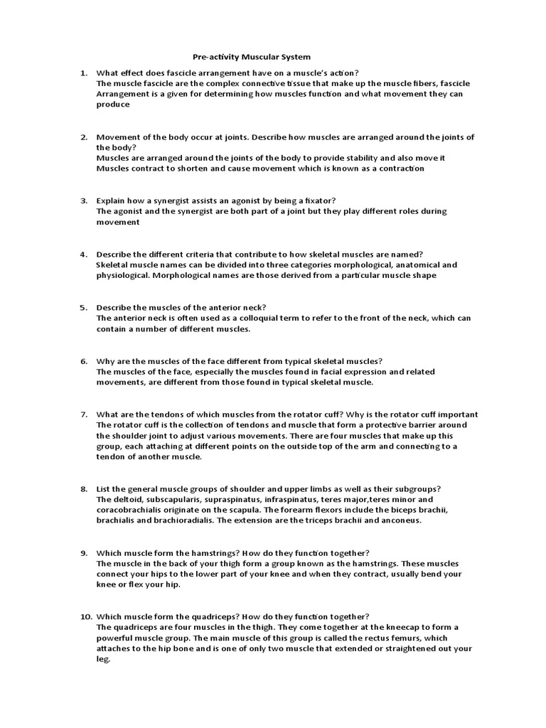 Anaphy Muscular System | PDF | Skeletal Muscle | Shoulder