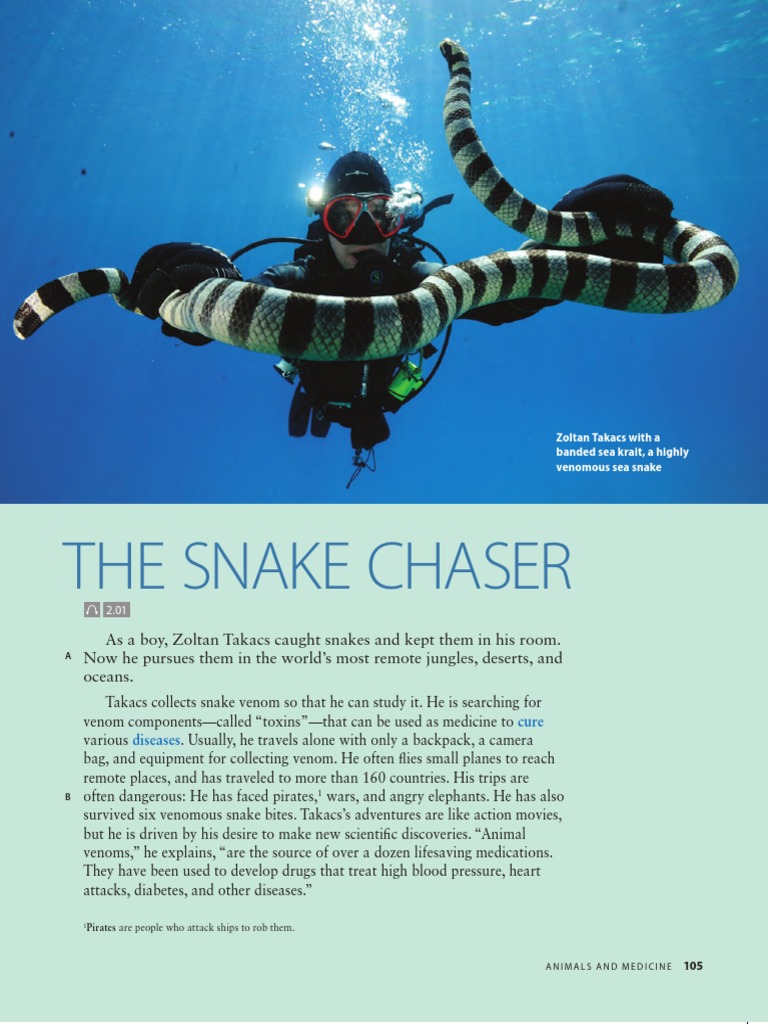 The Snake Chaser | Download Free PDF | Venom | Snake