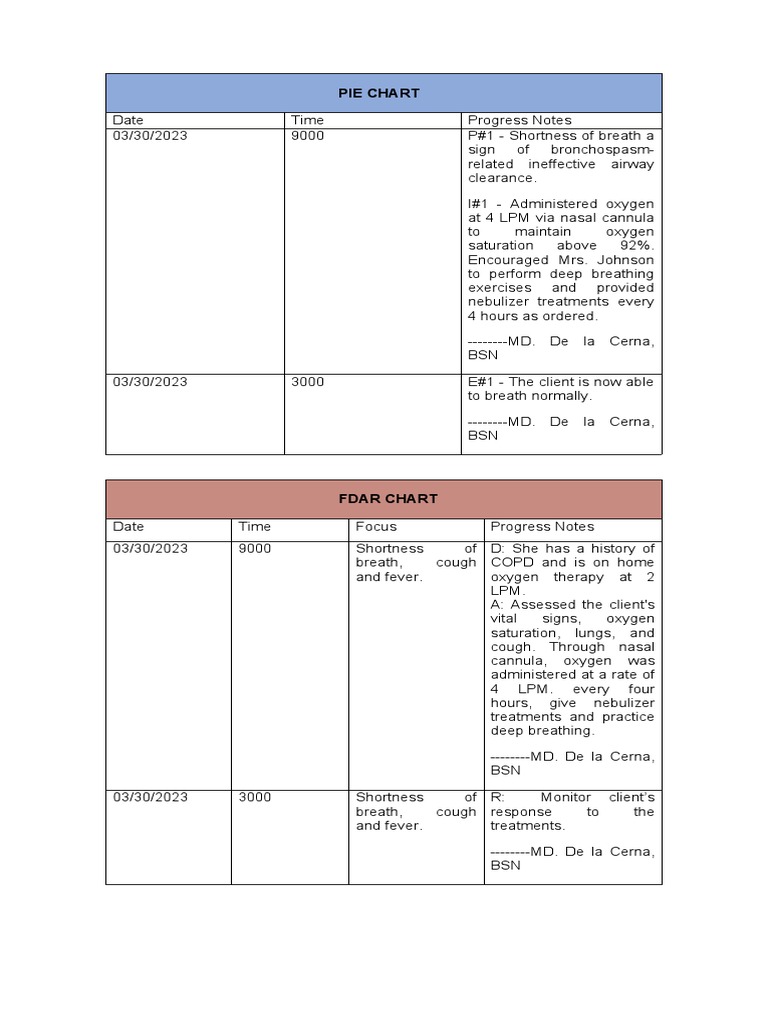 PIE and FDAR Chart | PDF
