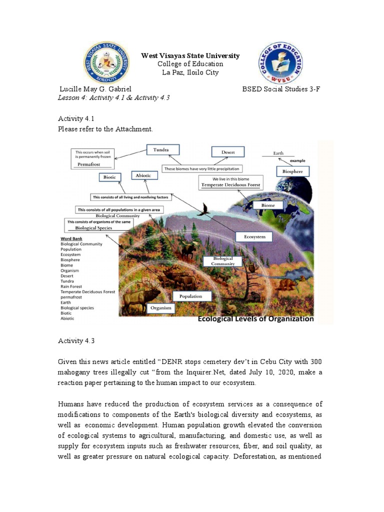Gabriel-Lesson 4 Activity 4.1 & Activity 4.3 | PDF | Ecosystem ...