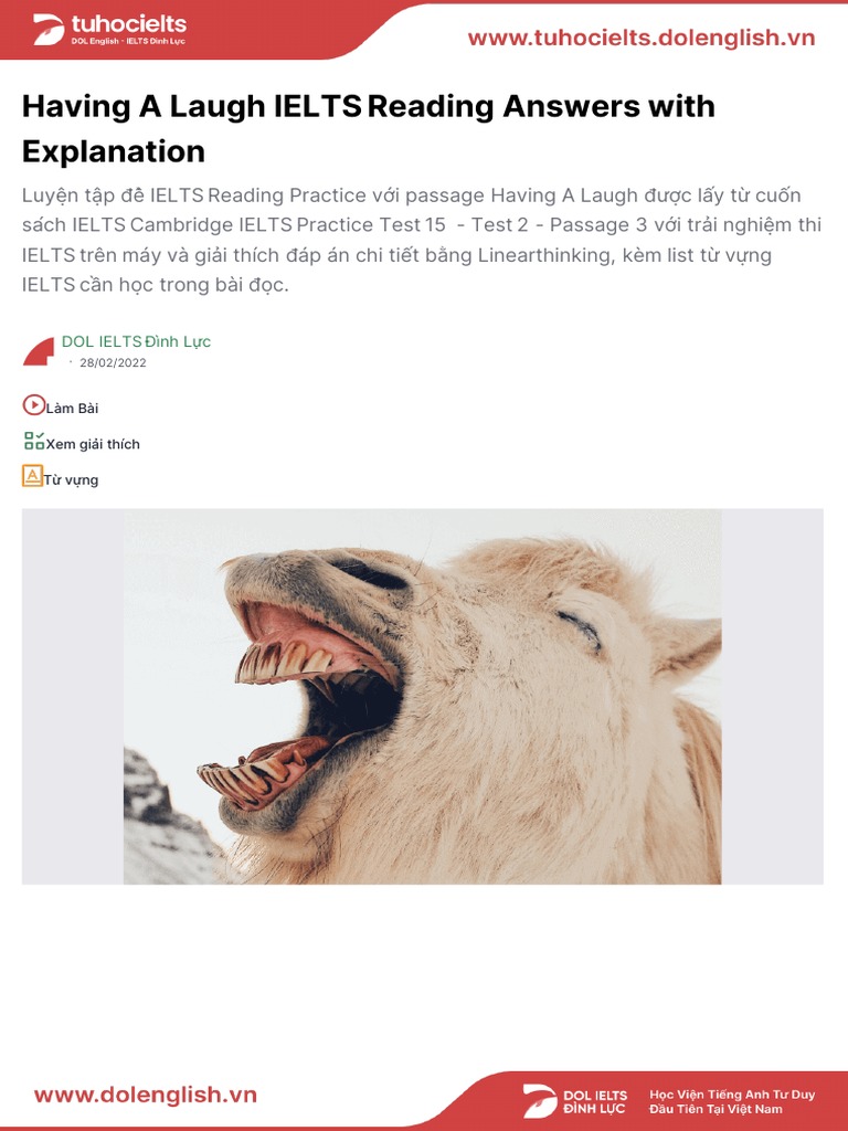 Having A Laugh | PDF | Humour | Laughter