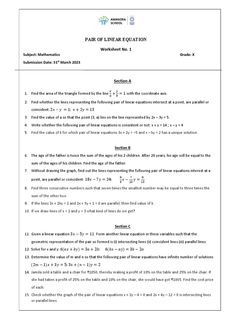 Grade X - Maths - Linear Equations - Worksheet | PDF
