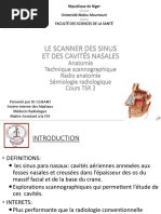 Scanographie des Sinus : Guide Complet | PDF | Anatomie humaine | Otorhinolaryngologie