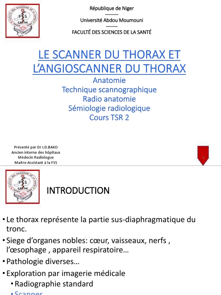 Guide d'interprétation du scanner thoracique | PDF | Poumon | Médecine ...