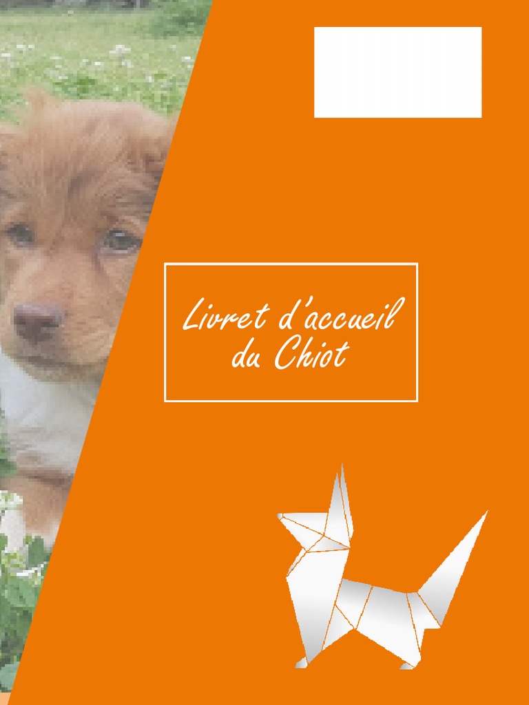 Livret Accueil Chiot | PDF | Chiens | Stérilisation animale