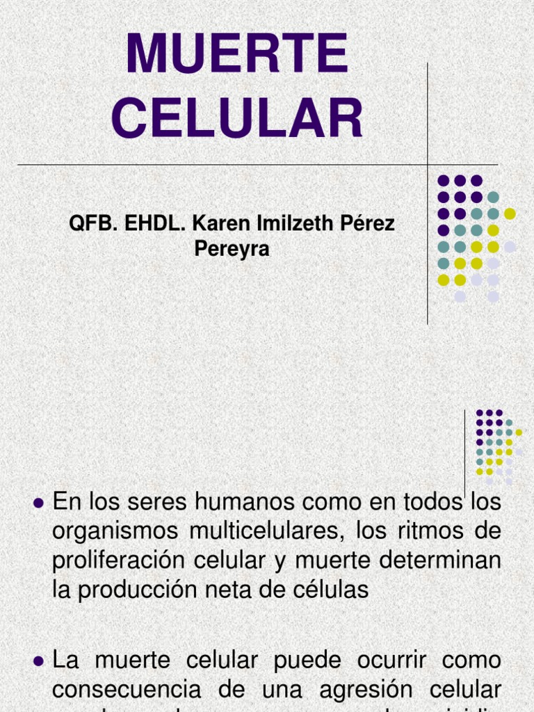 Muerte Celular | PDF | Apoptosis | Biología Celular)