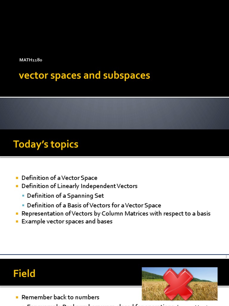 Vector Spaces and Subspaces: MATH1180 | PDF