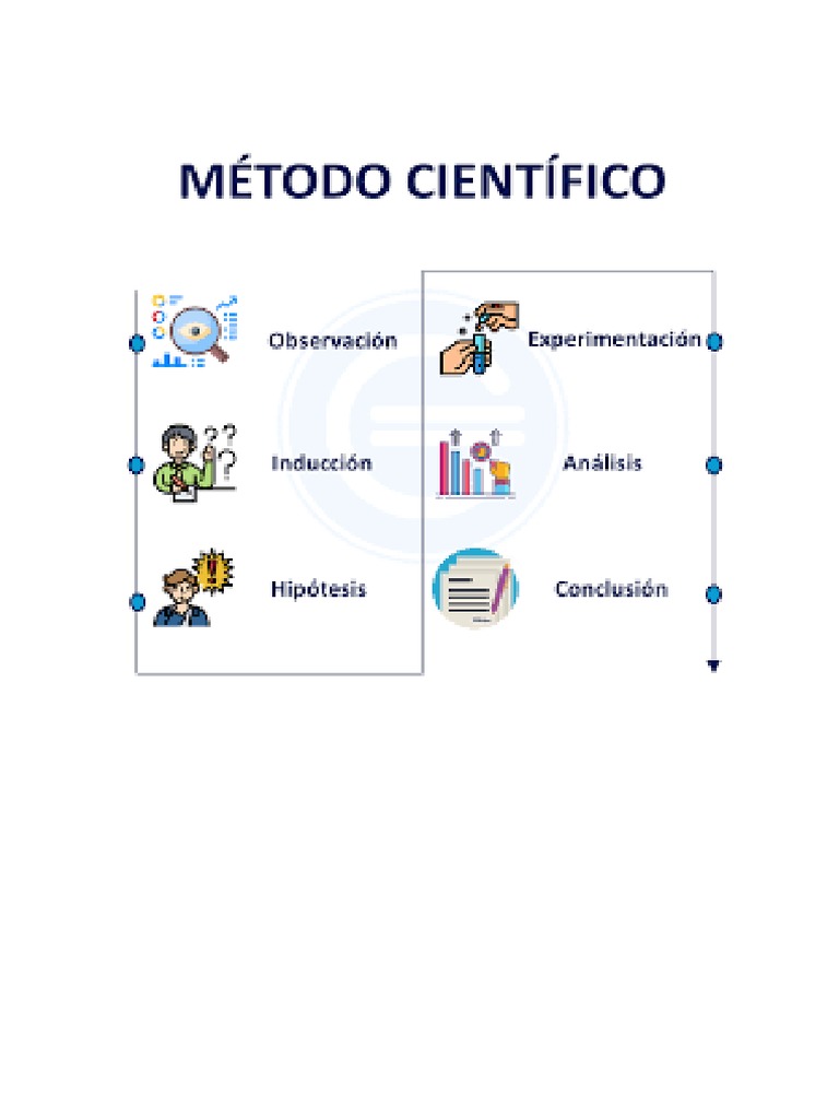 Pasos Del Metodo Cientifico | PDF