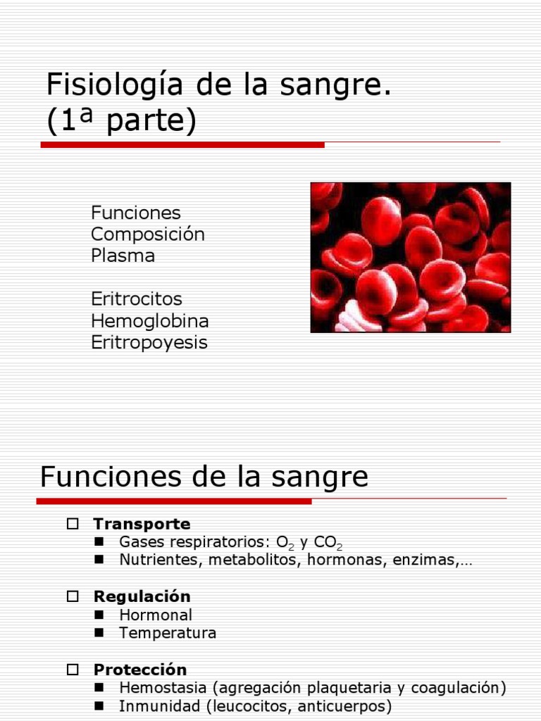 Fisiologia de La Sangre | PDF | Sangre | Glóbulo rojo