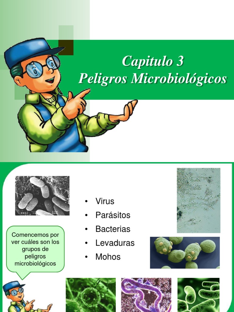 Peligros Microbiologicos - Manuel Blanco - Presentacion | PDF | Diarrea ...