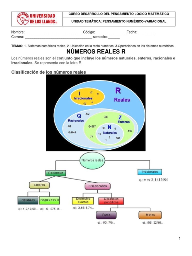 Clasificación de Los Números Reales | PDF | Números | Número Real