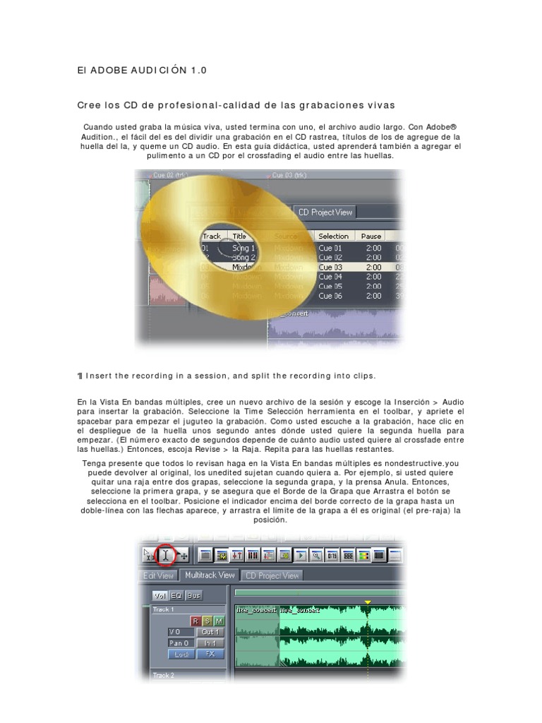 Manual Adobe Audition 1.5 | Point and Click | Disco compacto