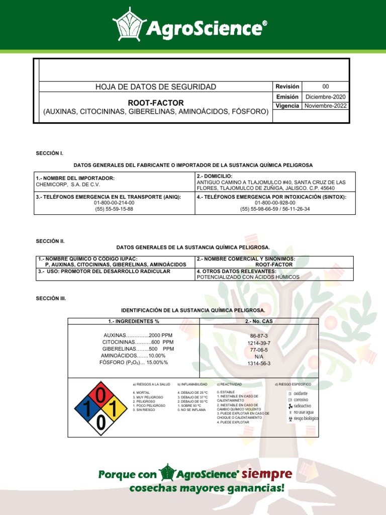Root-Factor: Datos y Seguridad | PDF | Naturaleza | Química