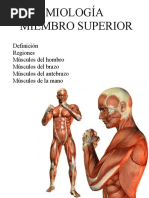 A34 Compartimentos Musculares Del Brazo y Antebrazo DR Daniel Lopez ...