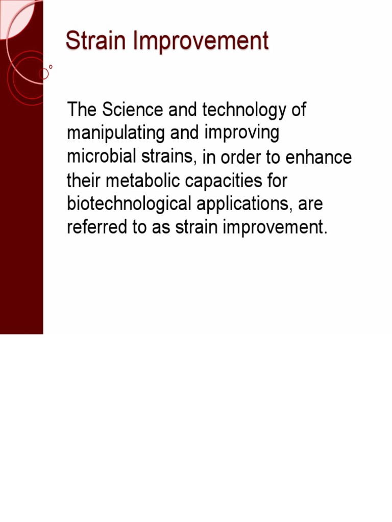 Strain Improvement For Microbial Industries | PDF