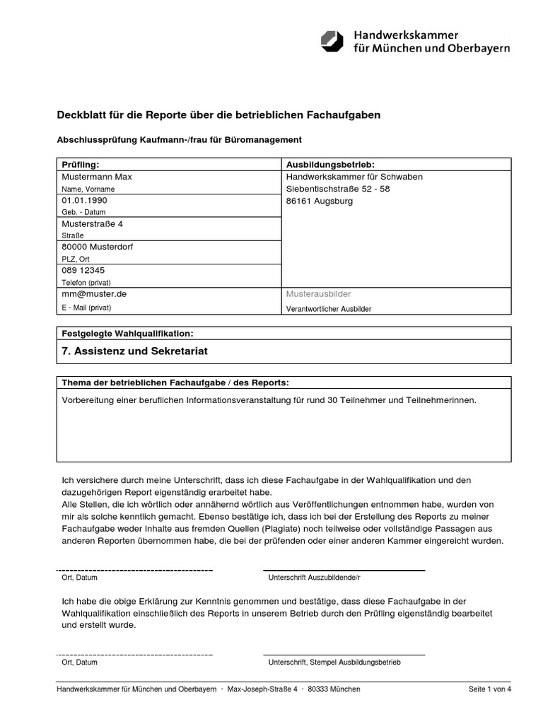 2 P - Muster Report | PDF