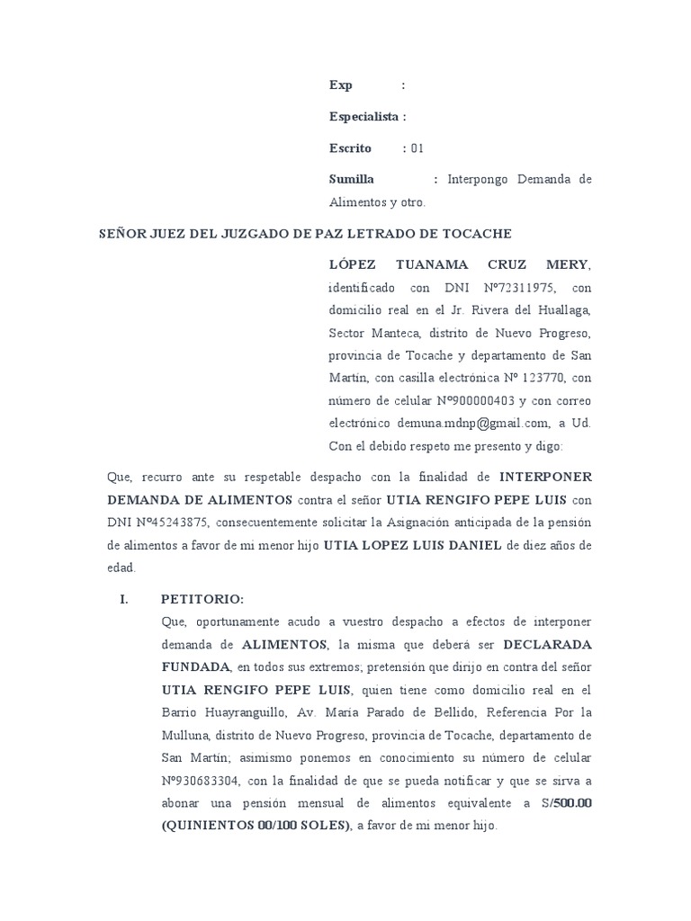 Modelo de Demanda | PDF