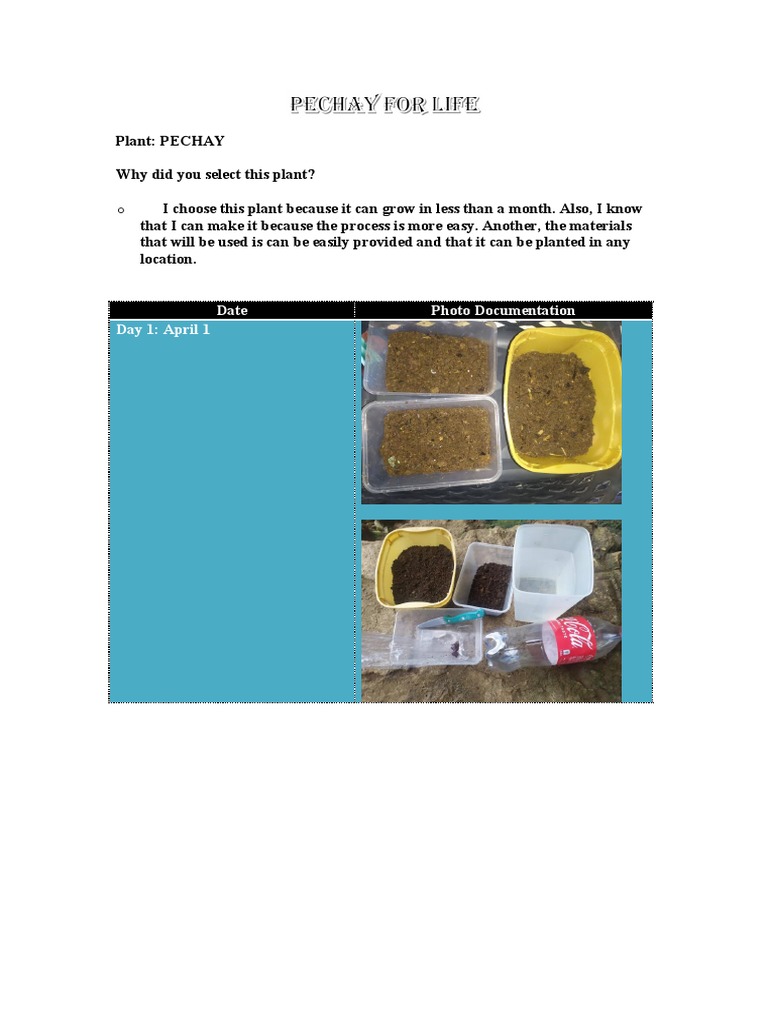 PECHAY-FOR-LIFE-FINAL | PDF