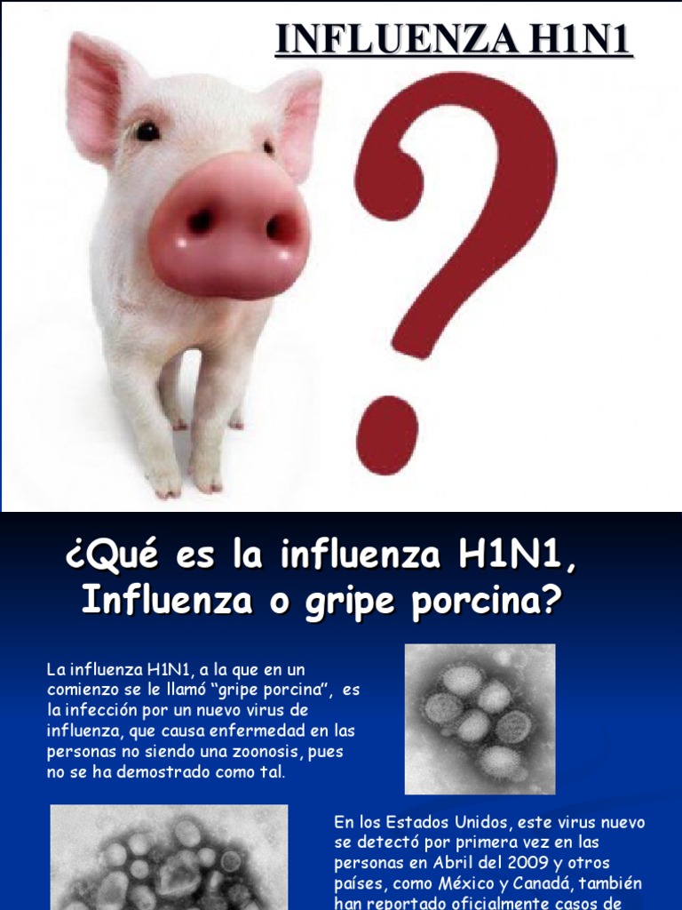 Influenza H1N1 | PDF | Influenza | Virus de la Influenza A Subtipo H1 N1