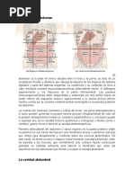 Signos y Maniobras Abdominales | PDF | Abdomen | Vesícula biliar