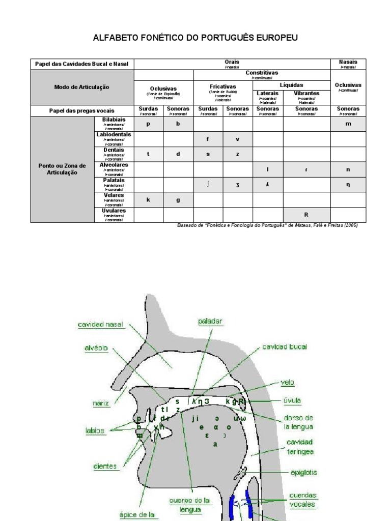 Alfabeto Fonético Do Português Europeu | PDF | Fonética | Comunicação ...