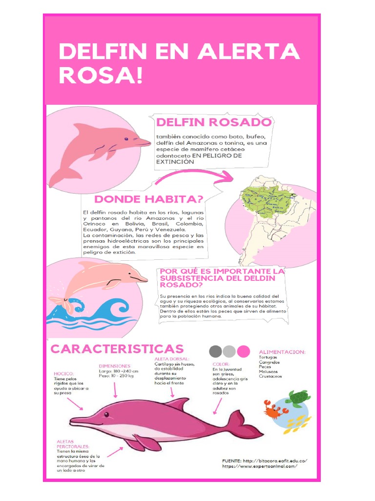 Delfin Rosa | PDF